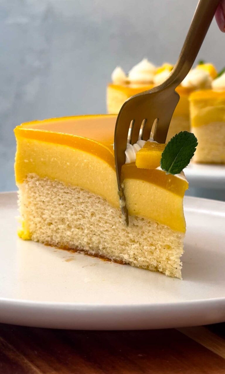 BEST MANGO MOUSSE CAKE - Razia Cooks